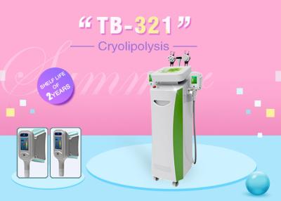 China Touch Screen Cryolipolysis Slimming Machine With Cavitation RF Heads for sale