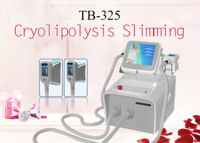 China 2 Cryoliposis Treatment Handle Simultaneously With 3 Size Body Slimming Machine 1800W for sale