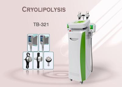 China 10.4 Touch Screen Fat Freeze Slimming Machine Wrinkle Removal 5 Treatment Head 1800W for sale
