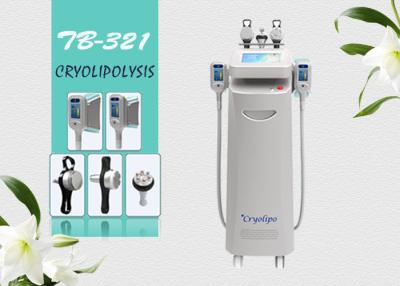 China 5 Heads Cryolipolysis Slimming Machine with 10.4 Inch Touch Color Screen for sale