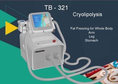 China Touch Screen Cryolipolysis Slimming Machine 2 Handles for Lose Weight / Fat Dissolving for sale