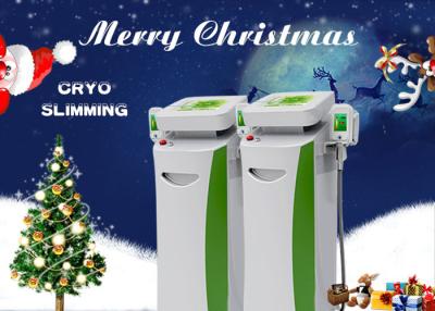 China Multifunction RF Cryo Fat Freeze Body Slimming Machine With 10.4 Inch Touch Screen for sale