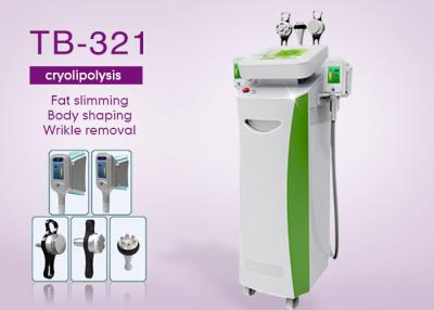 China Vertical 2 Cryo Cryolipolysis Slimming Machine / Fat Freezing Equipment for sale