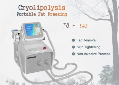 China Home Use Beauty 2M RF Cryolipolysis Slimming Machine for Lose Weight / Fat Dissolving for sale