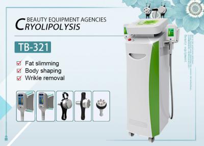 China Face and Body Cryolipolysis Slimming Machine With 10.4 Inch Screen 5 Handle for sale