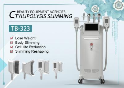 China Lipo laser 4 Handle Cryolipolysis Slimming Machine / Fat Reduction Device for sale