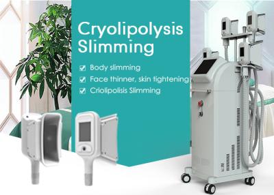 China High Performance Equipos De Medicina Estetica Cryolipolysis Lipo Freeze Machine for sale