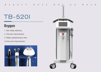 China Newest Style Multi-function LCD Jet Peel Facial Cleaning Skin Rejuvenation Machine for sale