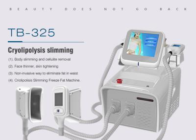 China Cryo Slim Body Machine Cryolipolysis Slimming Machine Dual Handles for sale