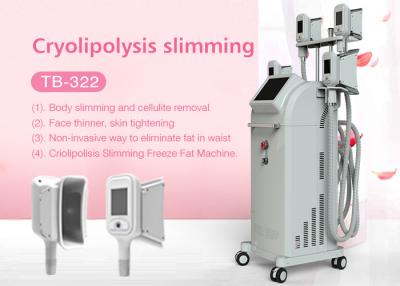 China Cavitation RF Fat Reduction Cryolipolysis Slimming Machine With 5 handles for sale
