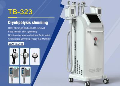 China 3.5 Inch Screen Cryolipolysis Slimming Machine , Fat Liposuction Machine for sale