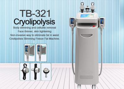 China Home Rf Cavitation Ultrasonic Cryolipolysis Slimming Machine 1800W 5 Handles for sale