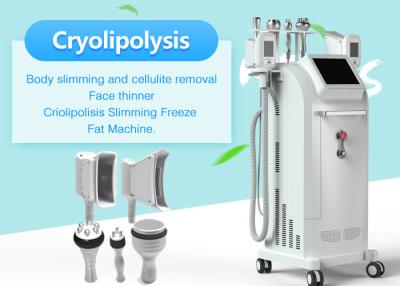 China Vertical Cryolipolysis Body Shaping Machine / Weight Lose Cooling Sculpting Machine for sale