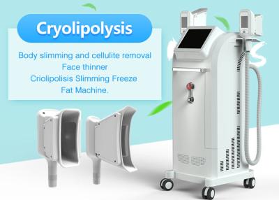 China Body Sculpting RF Cavitation Ultrasonic Cryolipolysis Slimming Machine With 5 Handles for sale