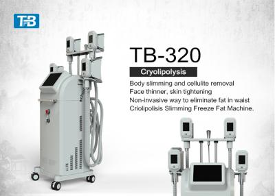 China Vertical Cryolipolysis Slimming Machine For Body Shaping and Cellulite Removal for sale