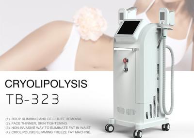 China 5 Handles Cryolipolysis Fat Freezing Machine / Coolsculpting Equipment for sale