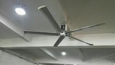 Cina Ventilatori da soffitto del magazzino 380V/220V 15 anni di portata 56r di lunga vita/velocità di giro di min in vendita