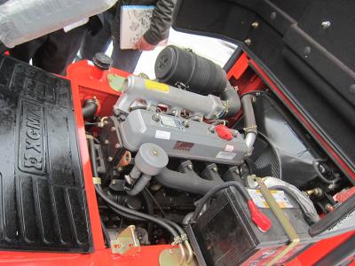 Cina Gomma standard pneumatica del carrello elevatore di combustione interna di 7 tonnellate con il motore diesel in vendita