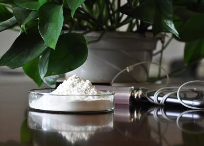 China Joint Benefit Ingredient Calcium Chondroitin Off - White Powder 0.65G / Ml Tap Density for sale