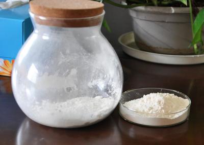 finest glucosamine chondroitin