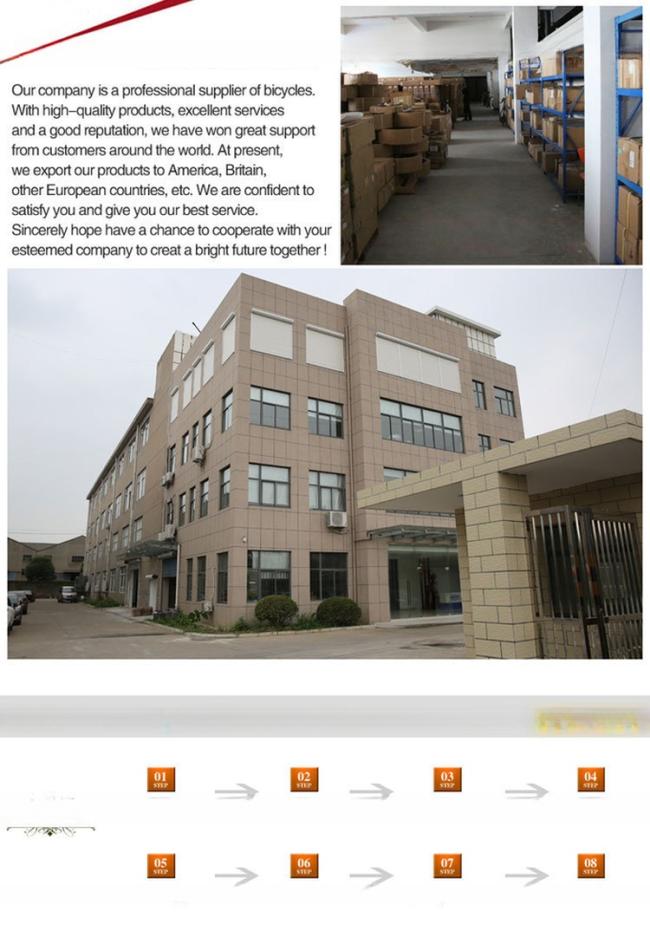 Bike Custom Design OEM Brand Factory High Quality Bicycle
