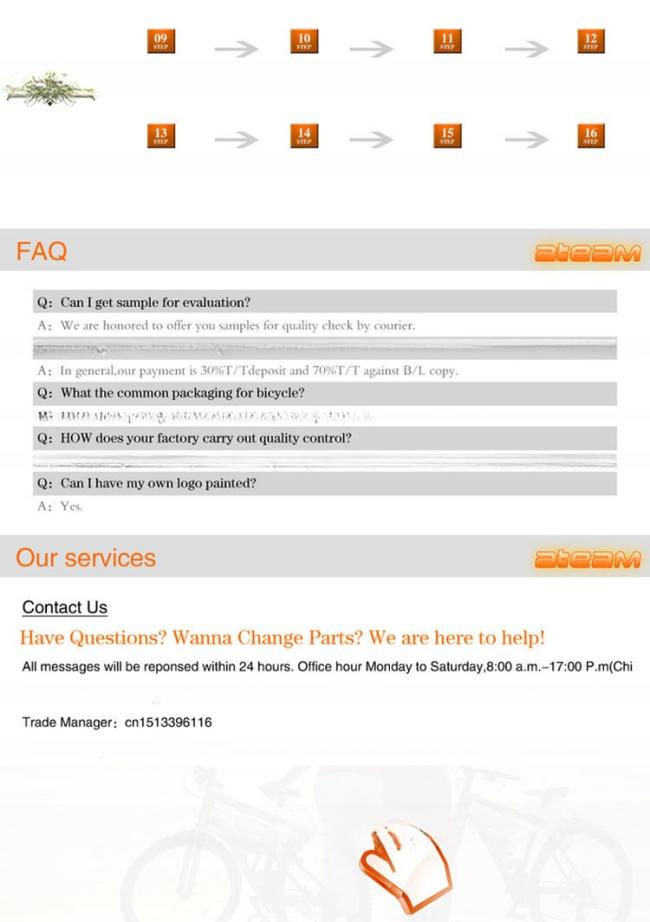 Bike Custom Design OEM Brand Factory High Quality Bicycle