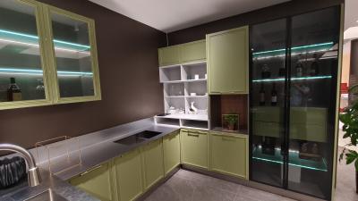 China Home Kitchen Stainless Steel Cabinet Avocado Green Mold Free Moisture Proof for sale