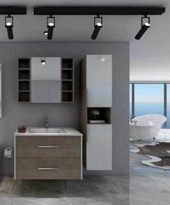 China Waterproof Stainless Steel Bathroom Storage Vanity Rustproof Soft Closing for sale