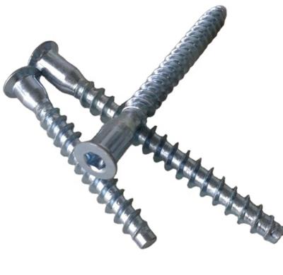 Cina Phillip screws Stainless Steel Screws pozi-slotted thumb in vendita