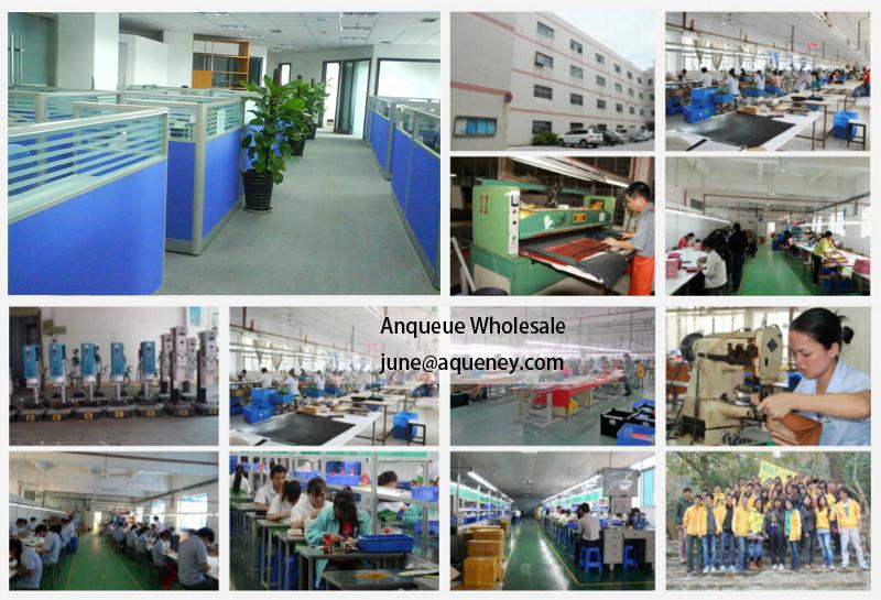 Fornitore cinese verificato - ANQUEUE Technology Co.,Ltd