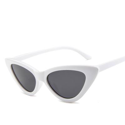 Cina Struttura di plastica retro dello stretto di Cat Eye Sunglasses Women Cat dell'occhio di vetro d'annata di colpo in vendita