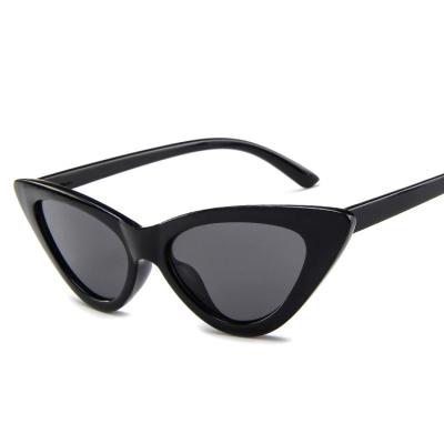 Cina Struttura di plastica retro dello stretto di Cat Eye Sunglasses Women Cat dell'occhio di vetro d'annata di colpo in vendita