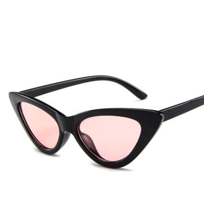 Cina Struttura di plastica retro dello stretto di Cat Eye Sunglasses Women Cat dell'occhio di vetro d'annata di colpo in vendita
