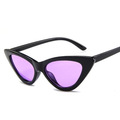 Cina Struttura di plastica retro dello stretto di Cat Eye Sunglasses Women Cat dell'occhio di vetro d'annata di colpo in vendita