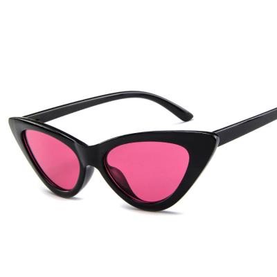 Cina Struttura di plastica retro dello stretto di Cat Eye Sunglasses Women Cat dell'occhio di vetro d'annata di colpo in vendita