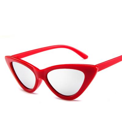 Cina Struttura di plastica retro dello stretto di Cat Eye Sunglasses Women Cat dell'occhio di vetro d'annata di colpo in vendita
