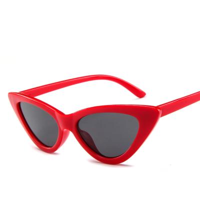 Cina Struttura di plastica retro dello stretto di Cat Eye Sunglasses Women Cat dell'occhio di vetro d'annata di colpo in vendita