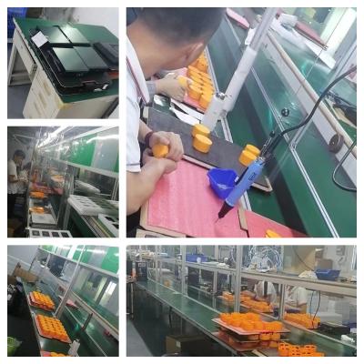 Cina Assemblaggio di cavi per l'impalcatura del cavo del terminale del connettore automatico OEM in vendita