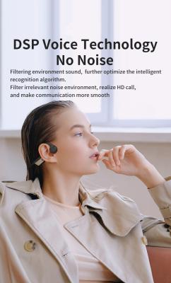 Cina XZH Supporto Odm/oem Tws Headset Custom Wireless Bone Conduction Earphone in vendita