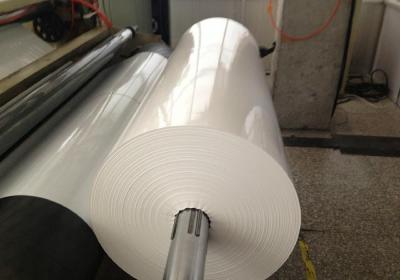 中国 Vinotの別のサイズ モデルいいえDY-1200とのEgypyのための最上質の自動気泡のフィルム作成機械習慣 販売のため