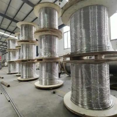 Cina Componenti: bobina di cavo in acciaio inossidabile con diametro da 1mm a 15mm in vendita