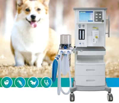 China SMTVA600 veterinary anesthesia machine for sale