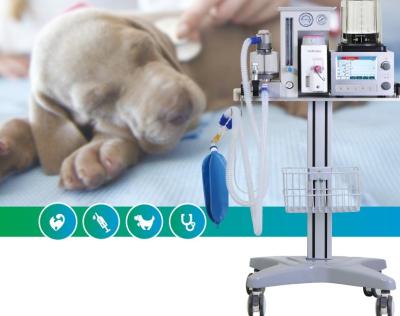 China SMTVB600 veterinary anesthesia machine for sale