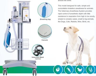 China SMTVC600 veterinary anesthesia machine for sale