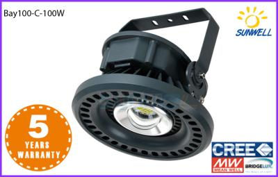 China Parking lot domestic block brightest Outdoor Led Flood Lights IP65 100 W for sale