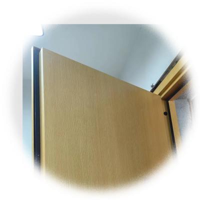 Cina STC 40+ 3 DB Porta insonorizzata per privacy e comfort negli edifici residenziali in vendita