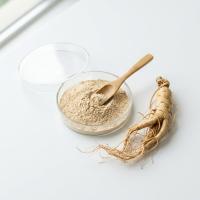 China Customizable Panax Ginseng Extract Standardized Ginsenosides HPLC Tested for sale