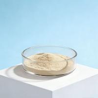 China Customizable Panax Ginseng Extract Standardized Ginsenosides HPLC Tested for sale