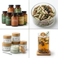 China Customizable Panax Ginseng Extract Standardized Ginsenosides HPLC Tested for sale
