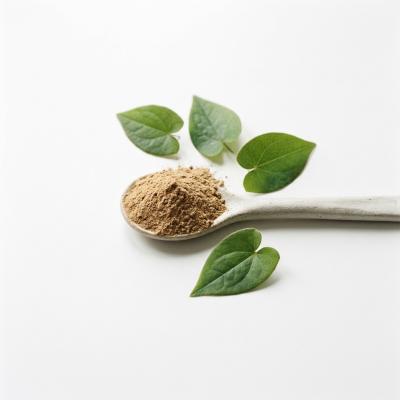 China Food Grade Epimedium Extract 20%  Water Soluble Icariin Powder for sale